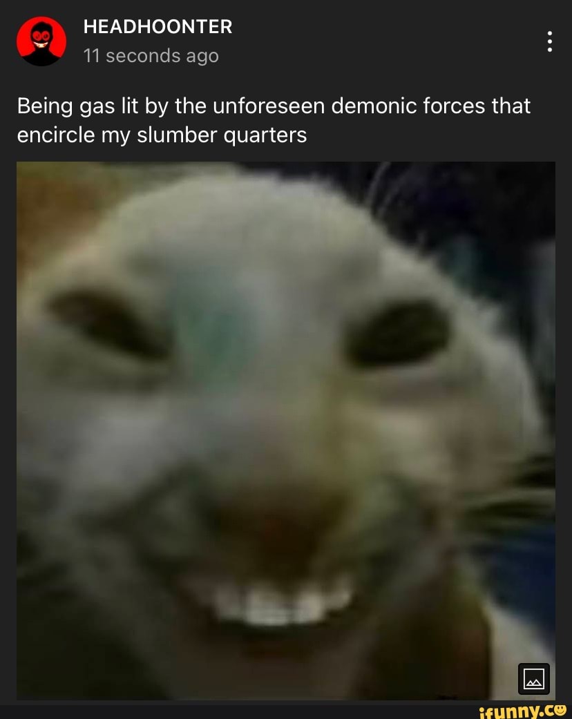 Yuhhhh memes. Best Collection of funny Yuhhhh pictures on iFunny Brazil