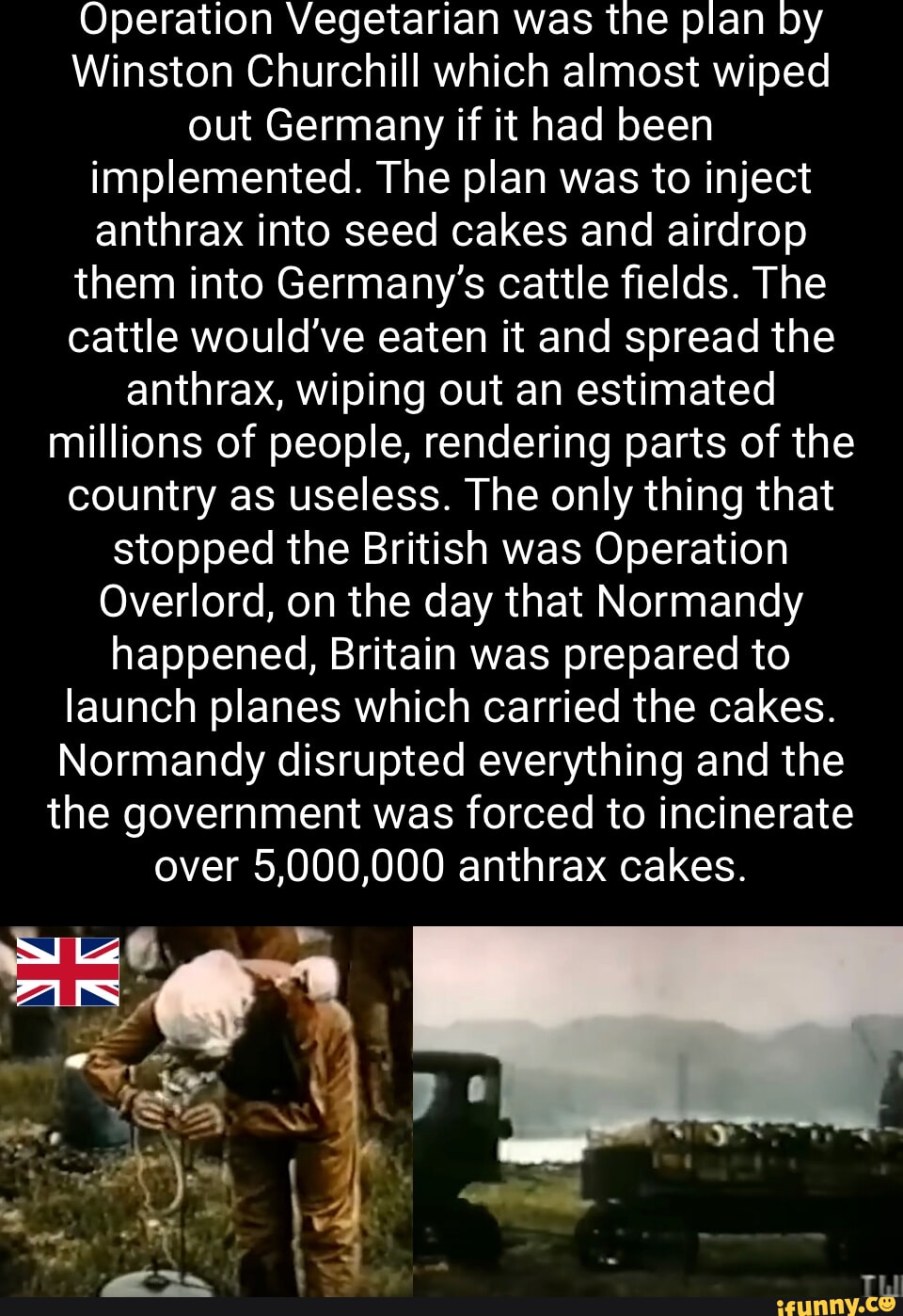 Operation Vegetarian was the plan by Winston Churchill which almost ...