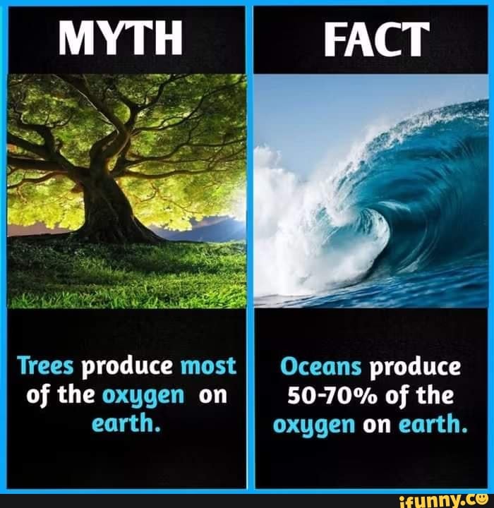 MYTH FACT Trees produce most of the oxygen on earth. Oceans produce of ...