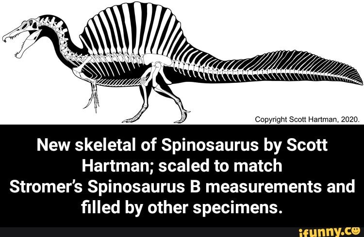 Stromers memes. Best Collection of funny Stromers pictures on iFunny Brazil