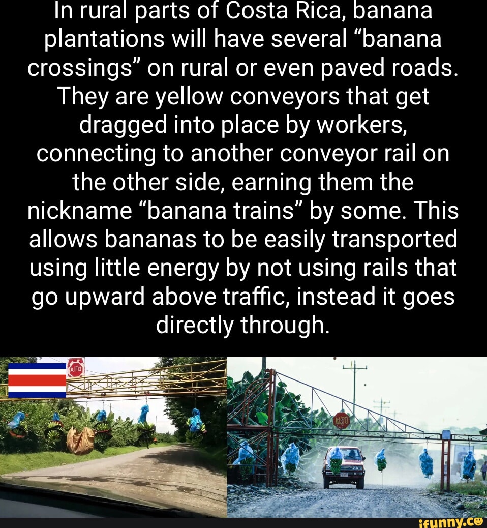 In rural parts of Costa Rica, banana plantations will have several ...
