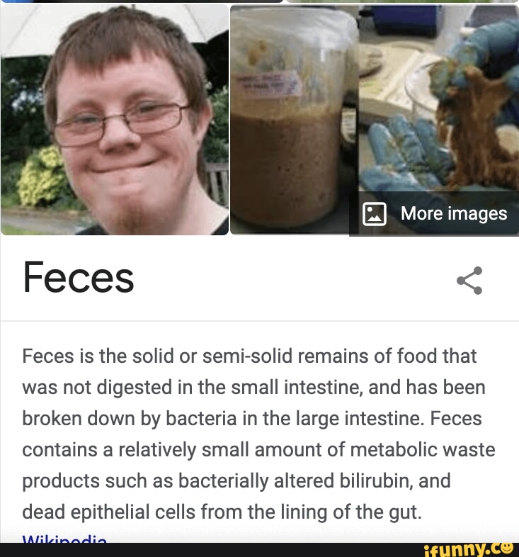 More images Feces Feces is the solid or semi-solid remains of food that ...