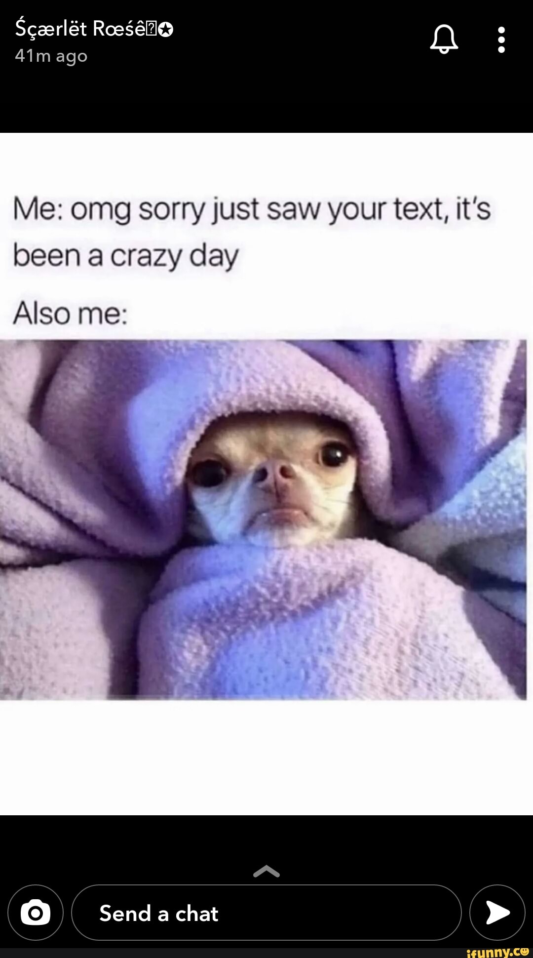 Scaerlt Roesllo ago Me: omg sorry just saw your text, it's been a crazy ...