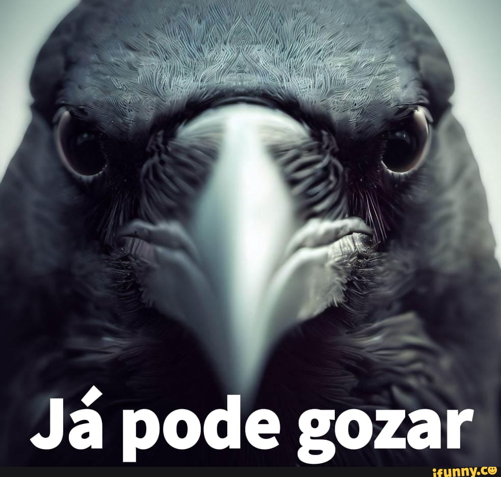 Já pode gozar - iFunny Brazil