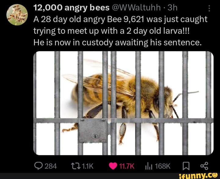 12,000 angry bees @WWaltuhh 28 day old angry Bee 9,621 was just caught ...