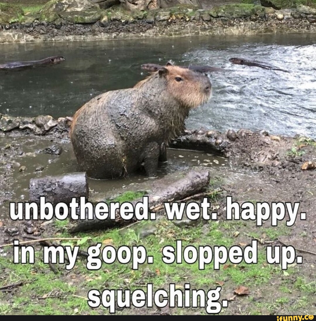 Unhothered. wet. happy. -in my goop. slopped up. -squelching. - iFunny ...