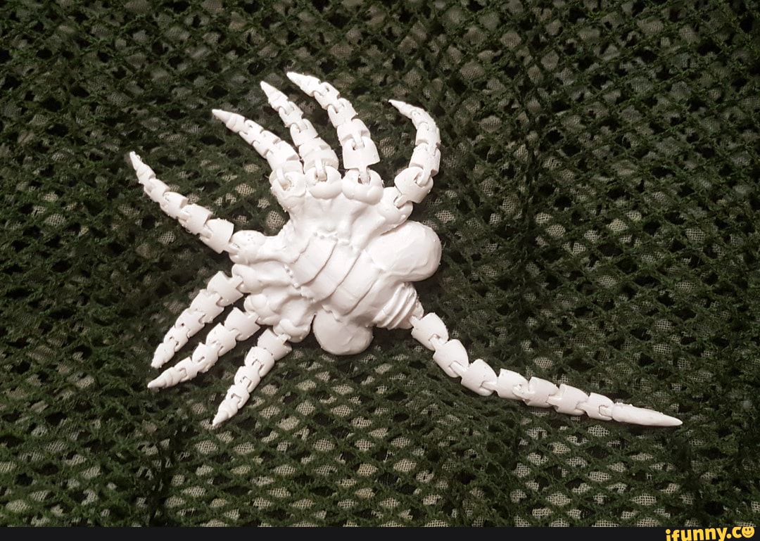 A 3d printed Facehugger! I have TWO now to fix up and paint! This one ...