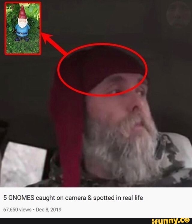 5 GNOMES caught on camera & spotted in real life 650 views De 201 - iFunny Brazil