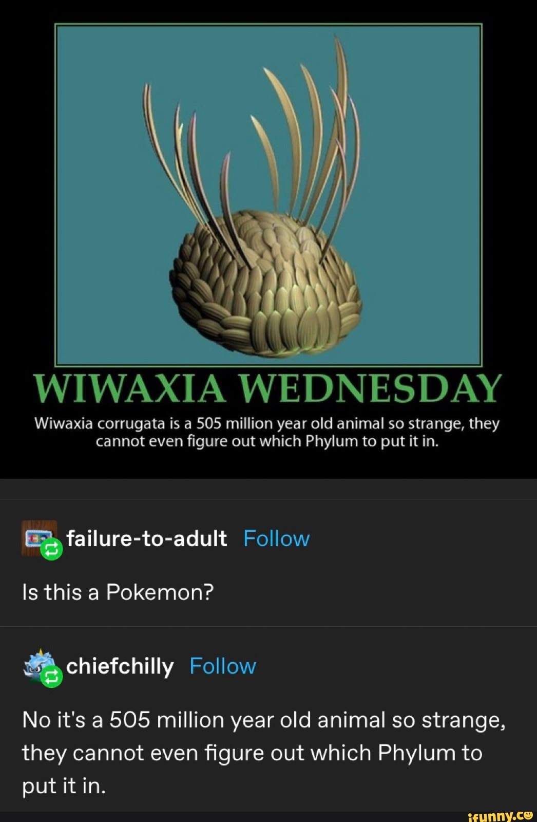 Wiwaxia Corrugata
