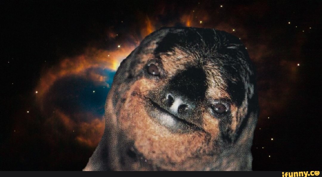 Astronaut Sloth Meme