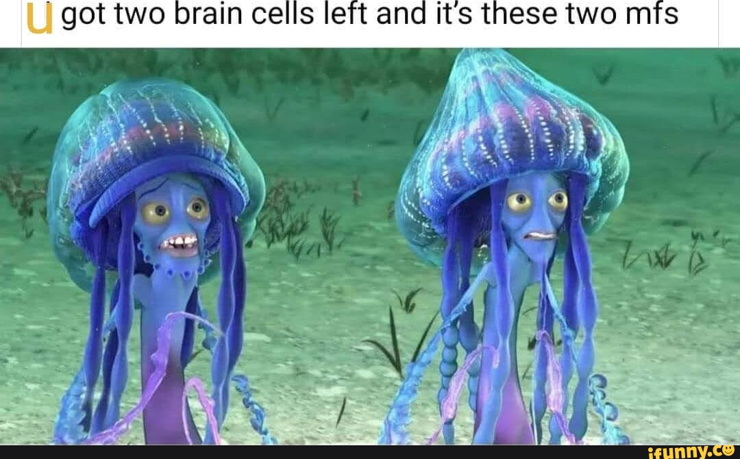 I got two brain cells lert and its these two mrs - iFunny Brazil