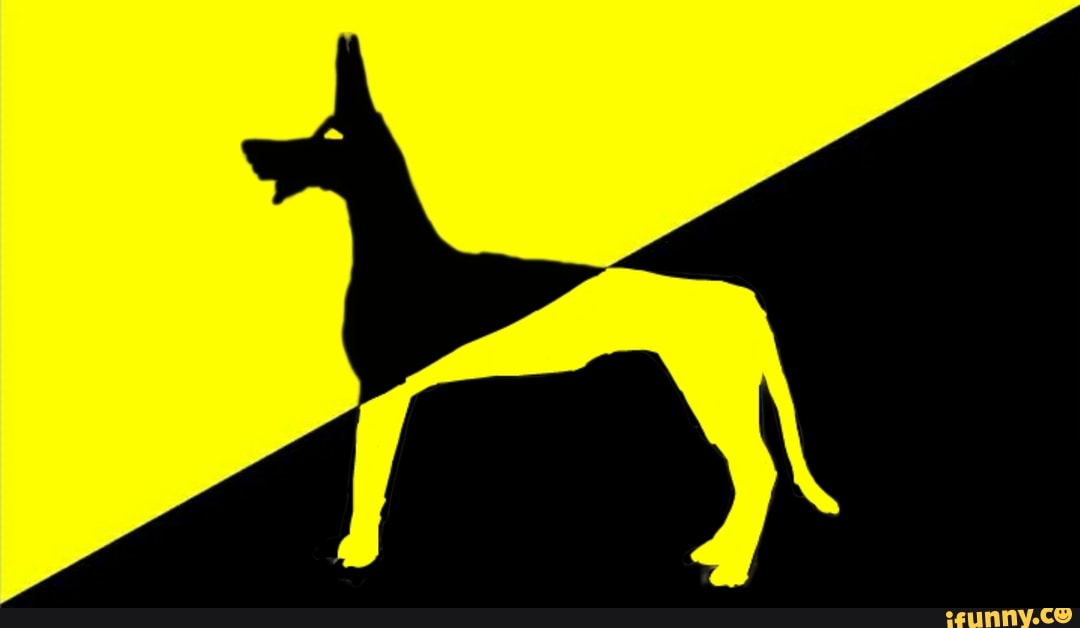 Polcomp memes. Best Collection of funny Polcomp pictures on iFunny Brazil