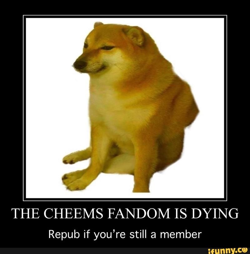 THE CHEEMS FANDOM IS DYING Repub if you're still a member - iFunny Brazil