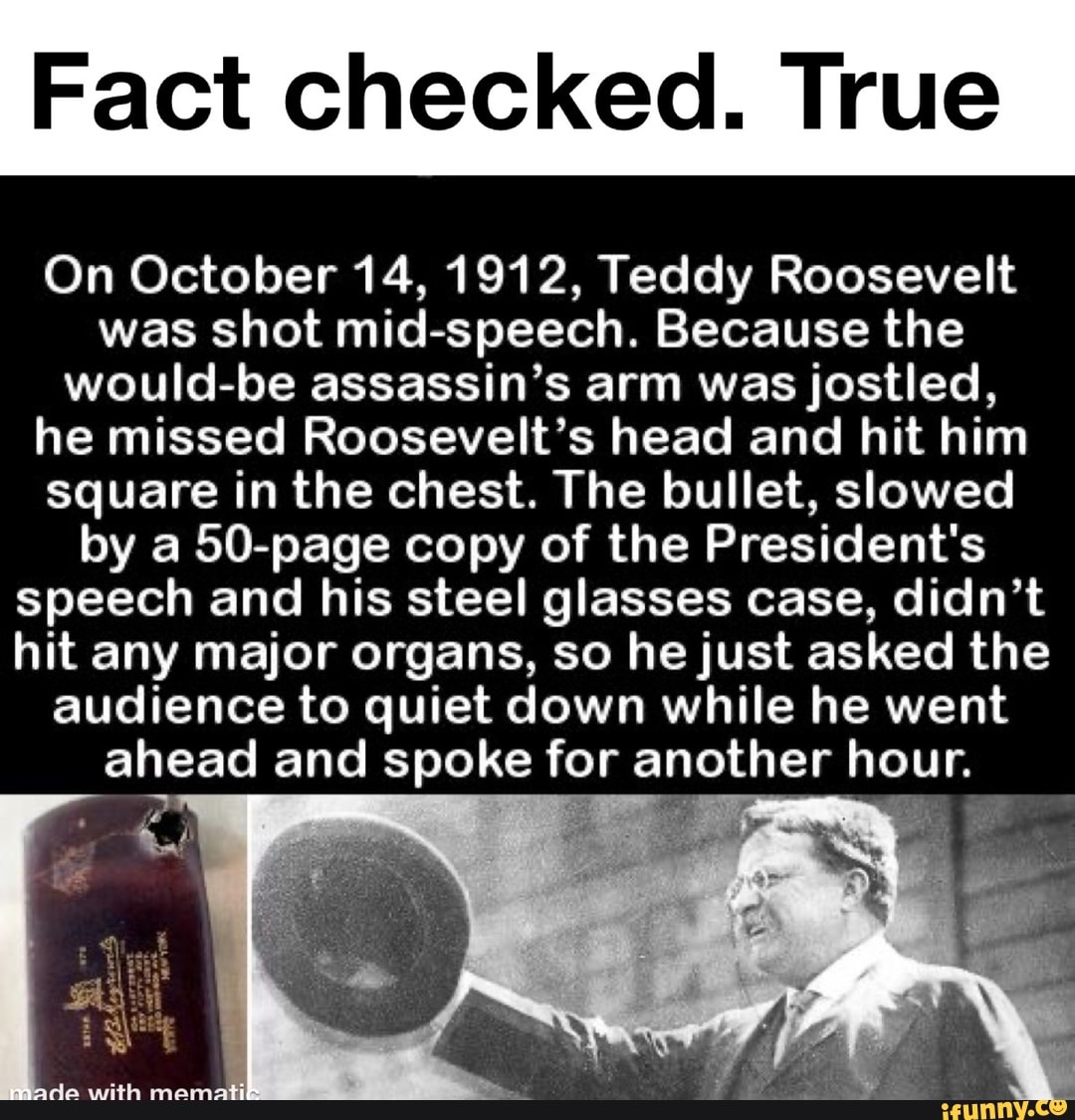 Theodore Roosevelt Speech Shot