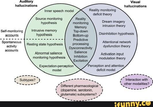 Hallucinations Visual hallucinations 'Inner speech model Reality ...