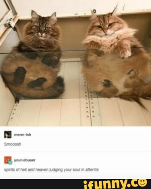 Merm-ish Smooosh your-abuser spirits of hell and heaven judging your ...