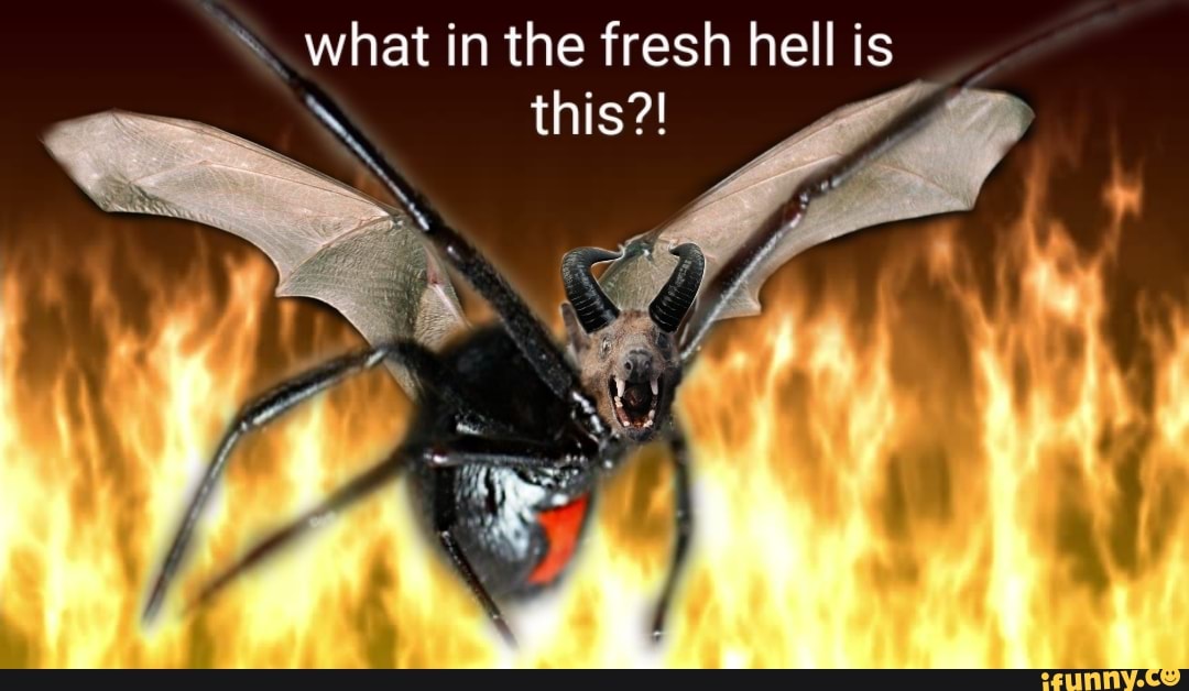 What in the fresh hell is this?! - iFunny Brazil