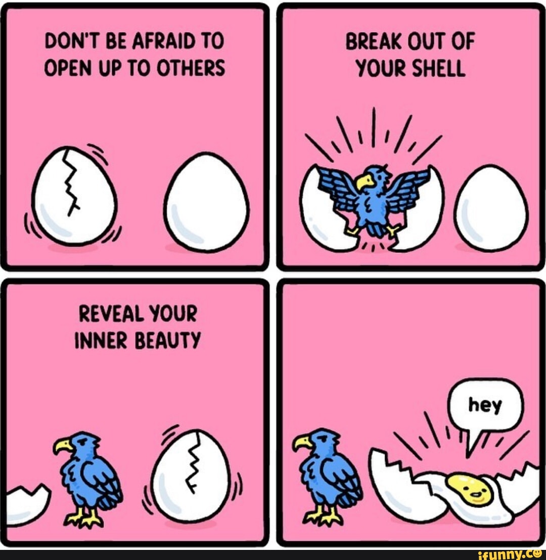 DON'T BE AFRAID TO BREAK OUT OF OPEN UP TO OTHERS YOUR SHELL REVEAL ...