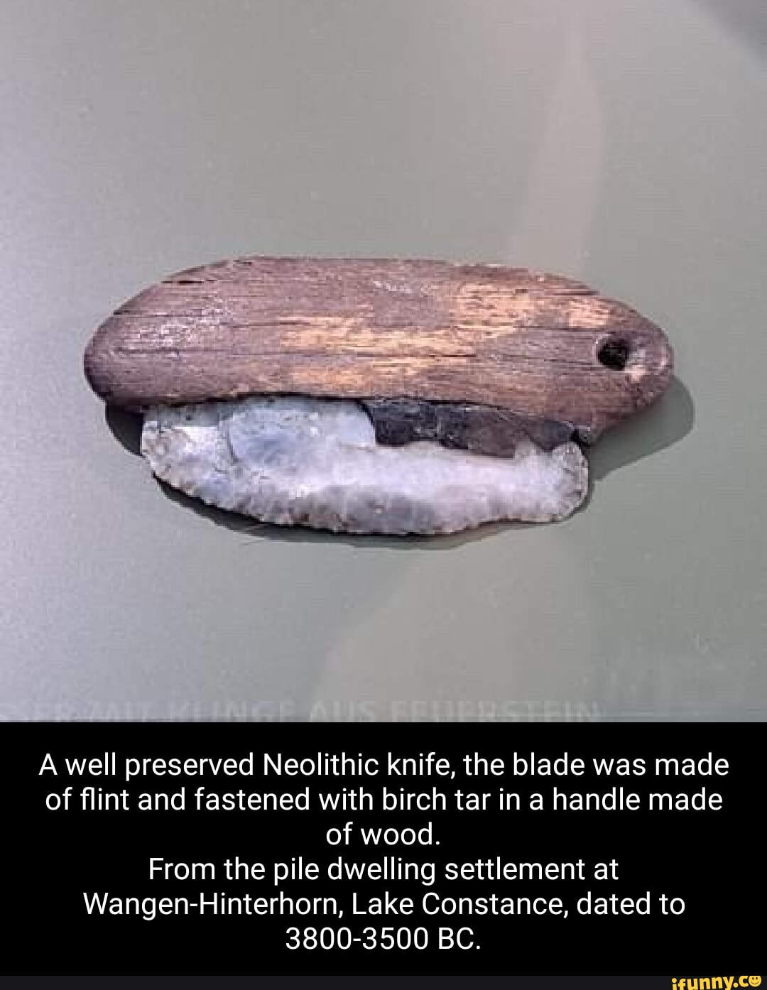 A well preserved Neolithic knife, the blade was made of flint and ...