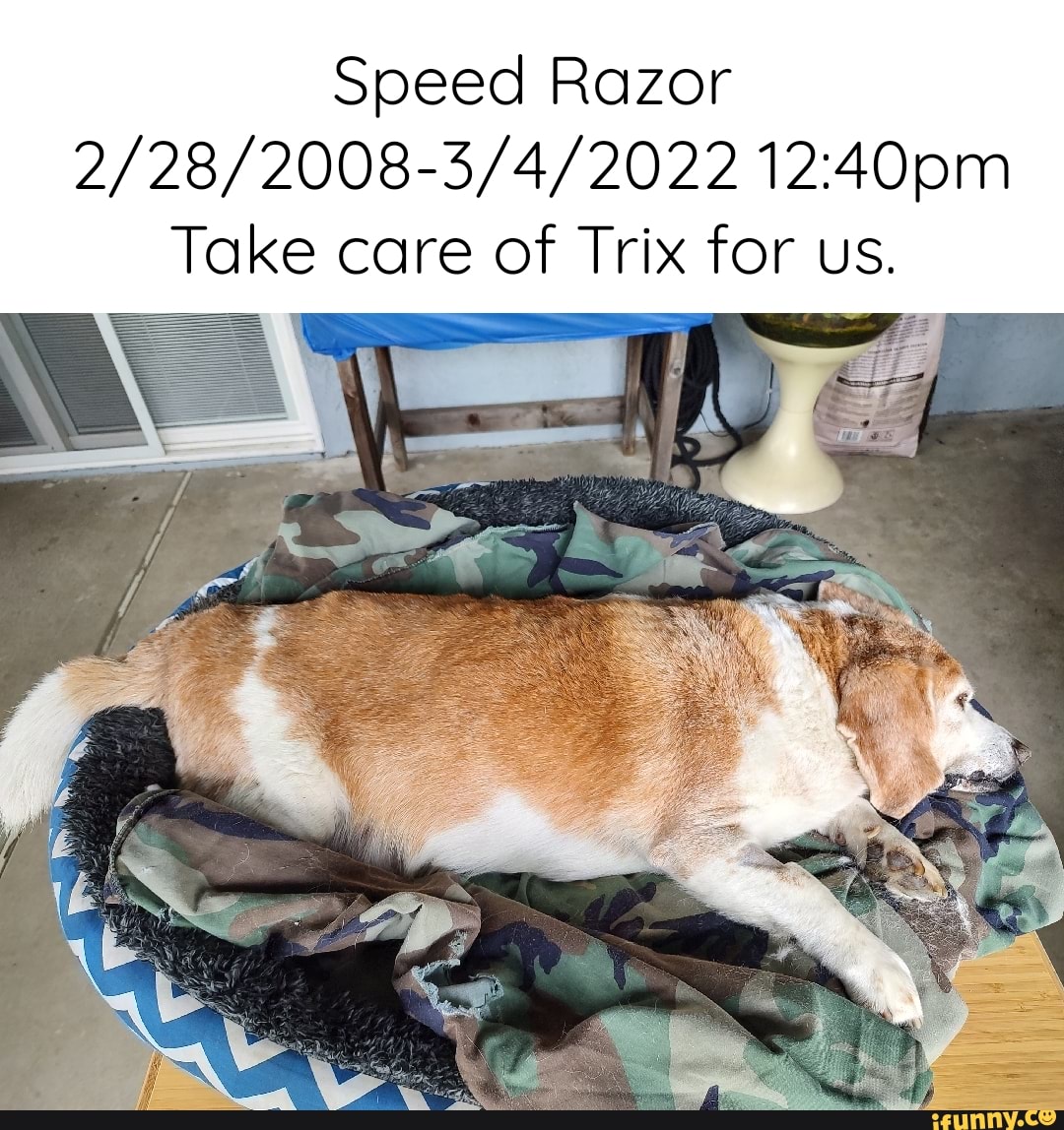 Speed Razor Take care of Trix for us. - iFunny Brazil