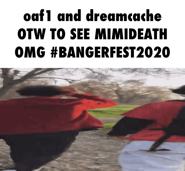 Mimideath memes. Best Collection of funny Mimideath pictures on iFunny ...