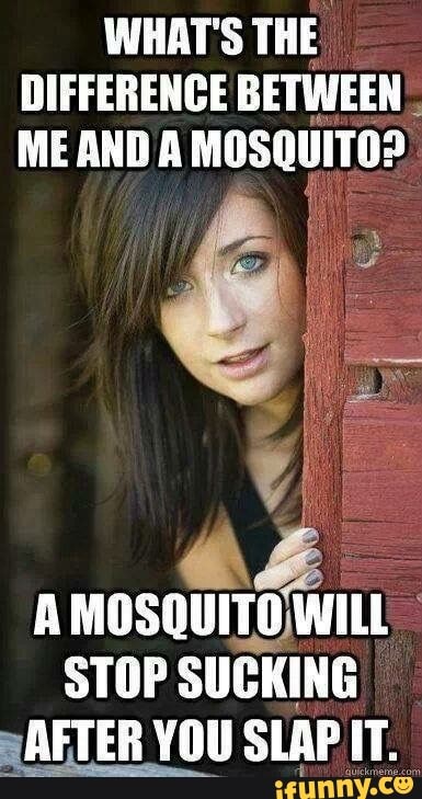 WHAT'S THE DIFFERENCE BETWEEN ME AND A MOSQUITO? A MOSQUITO WILL STOP ...