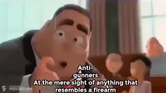 Anti Gun Control Meme