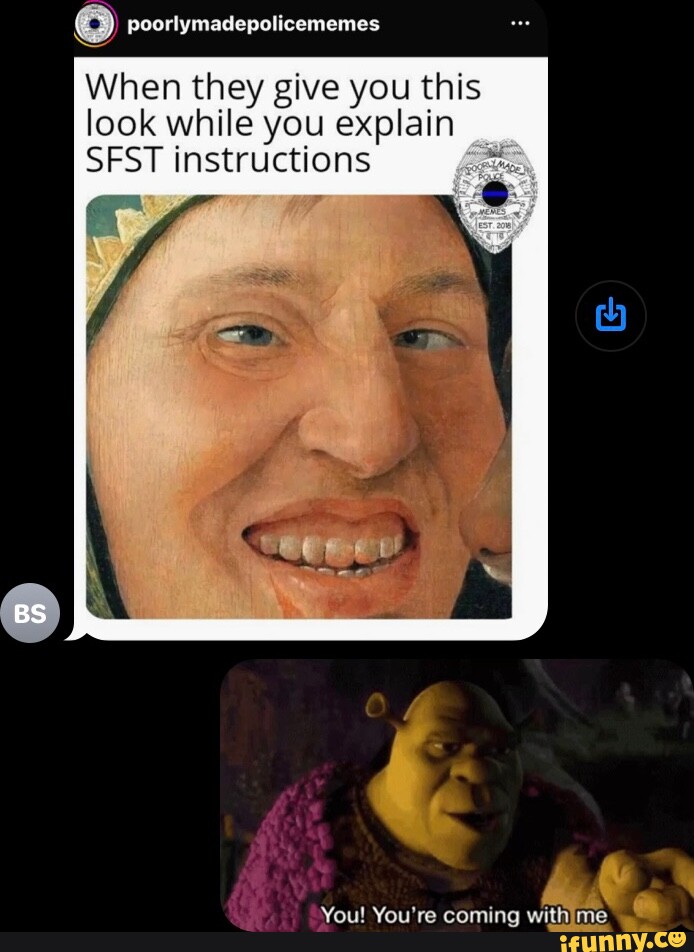 Poorlymadepolicememes When they give you this look while you explain ...