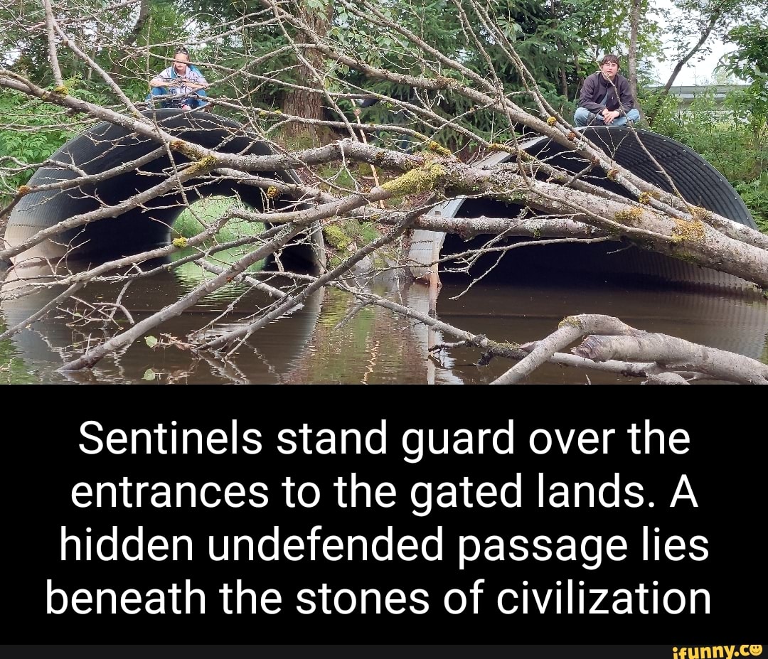 Sentinels stand guard over the entrances to the gated lands. A hidden ...