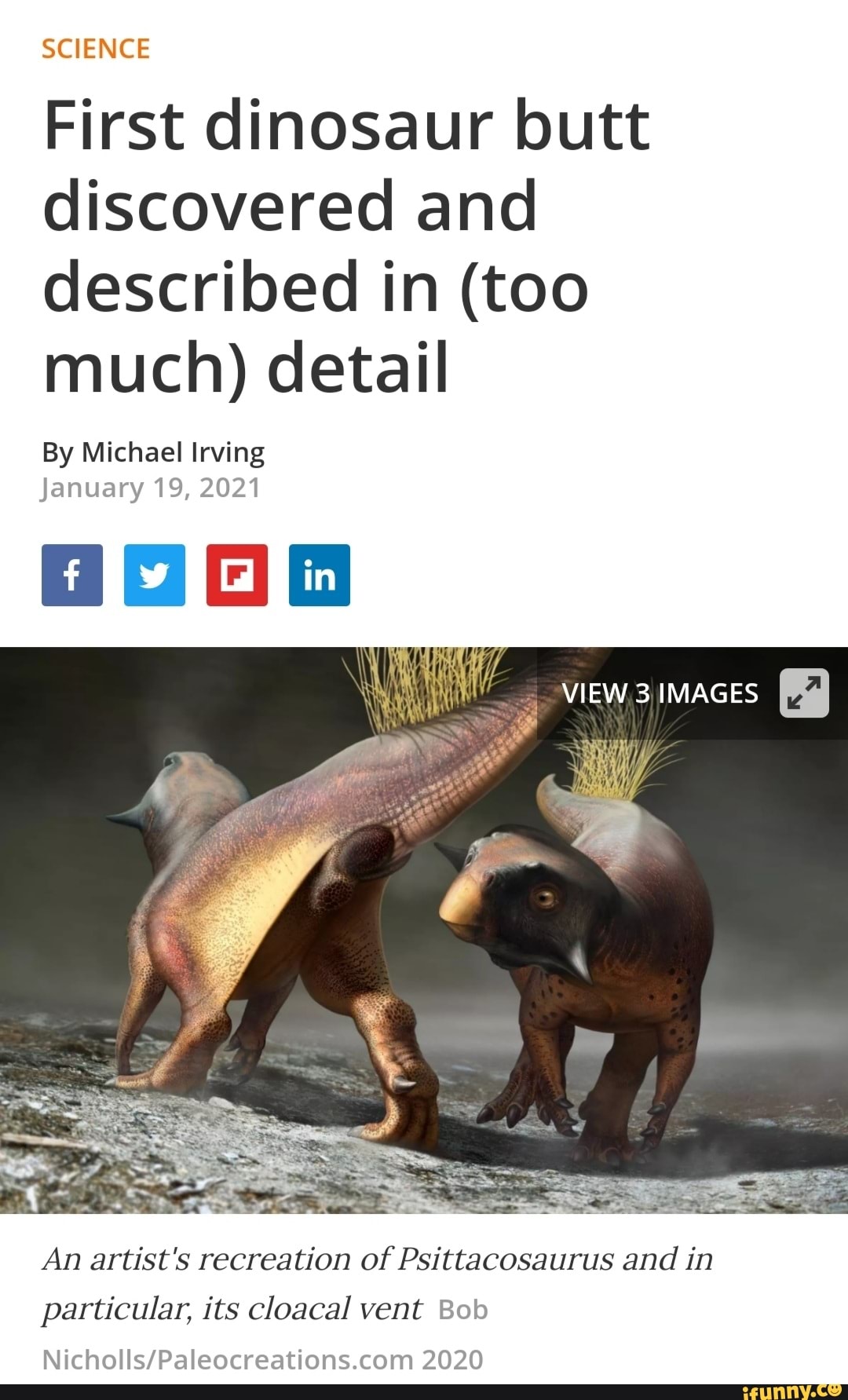 SCIENCE First dinosaur butt discovered and described in (too much ...