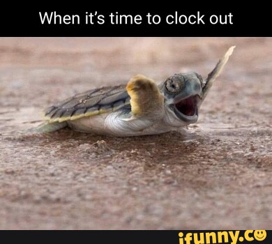 When it's time to clock out - iFunny Brazil