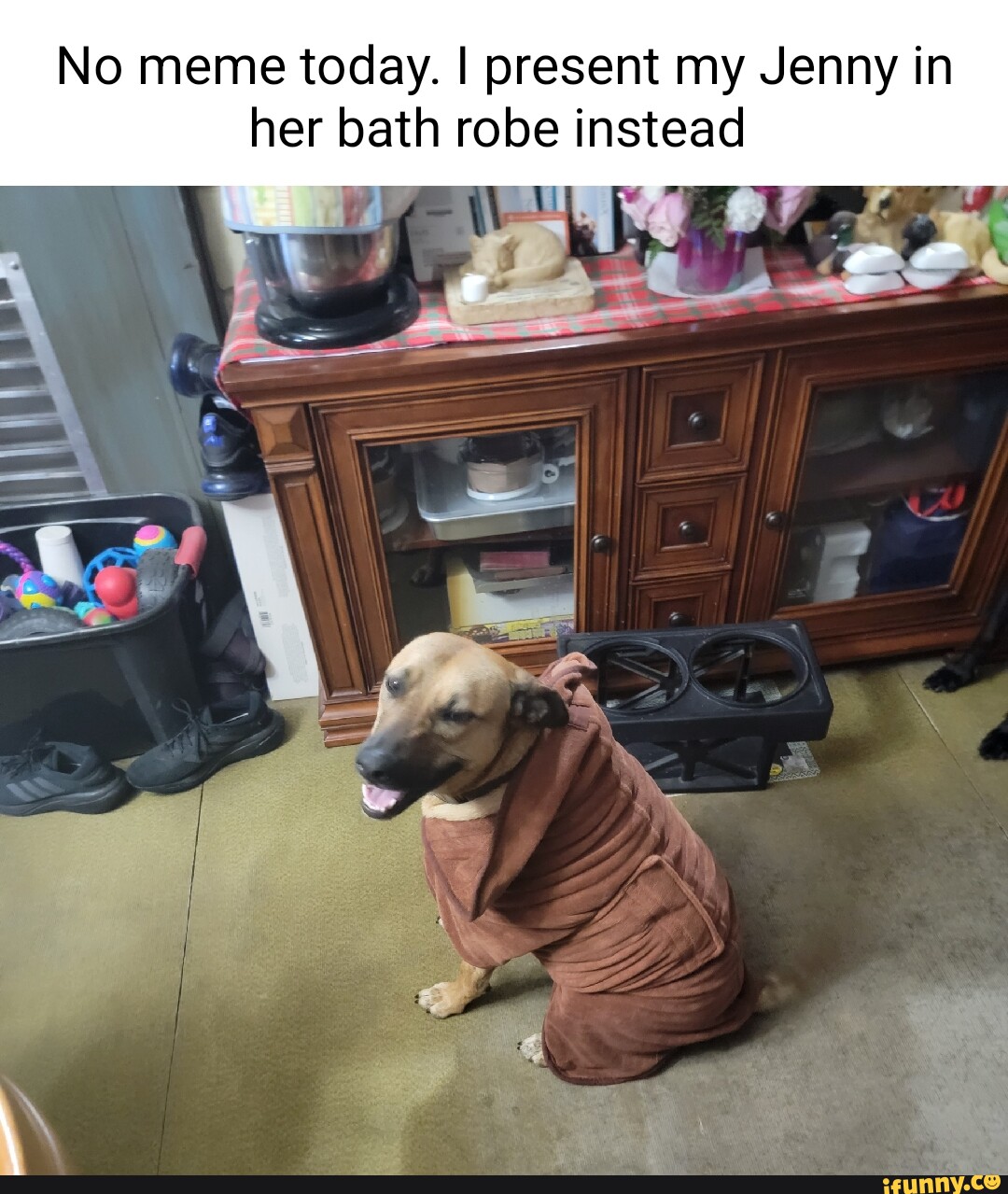No meme today. I present my Jenny in her bath robe instead - iFunny Brazil