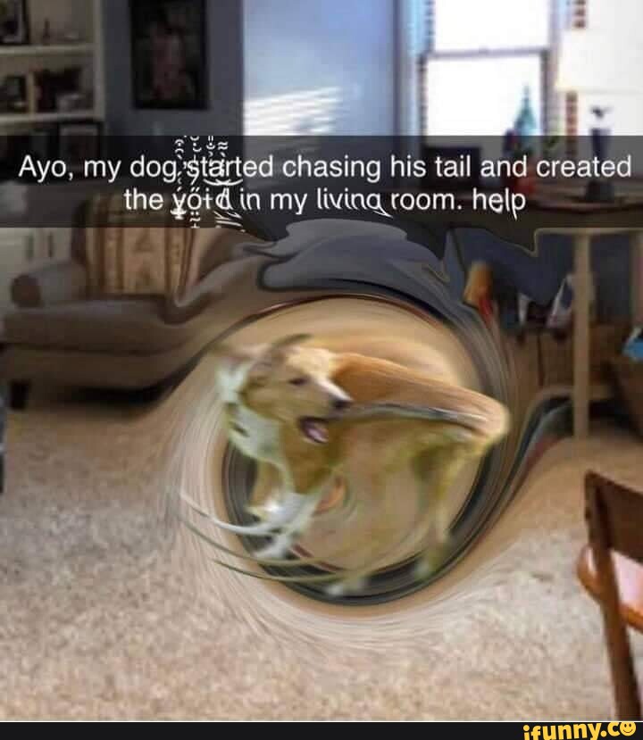 Ayo, my dog'started chasing his tail and created the yotd in my livina ...
