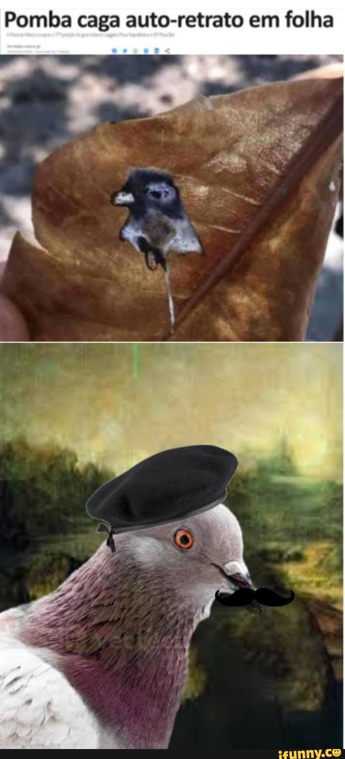 Pomba caga auto-retrato em folha - iFunny Brazil