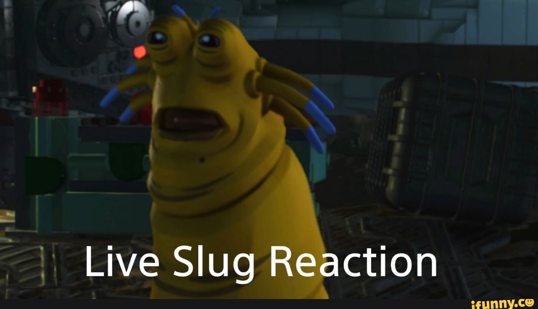 Live Slug Reaction - iFunny Brazil
