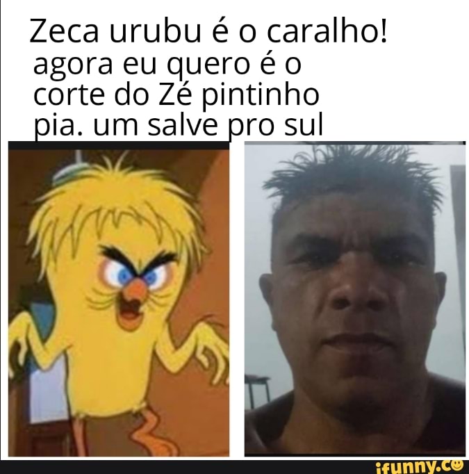 Zeca urubu é o caralho! agora eu quero é corte do Zé pintinho pia. um ...