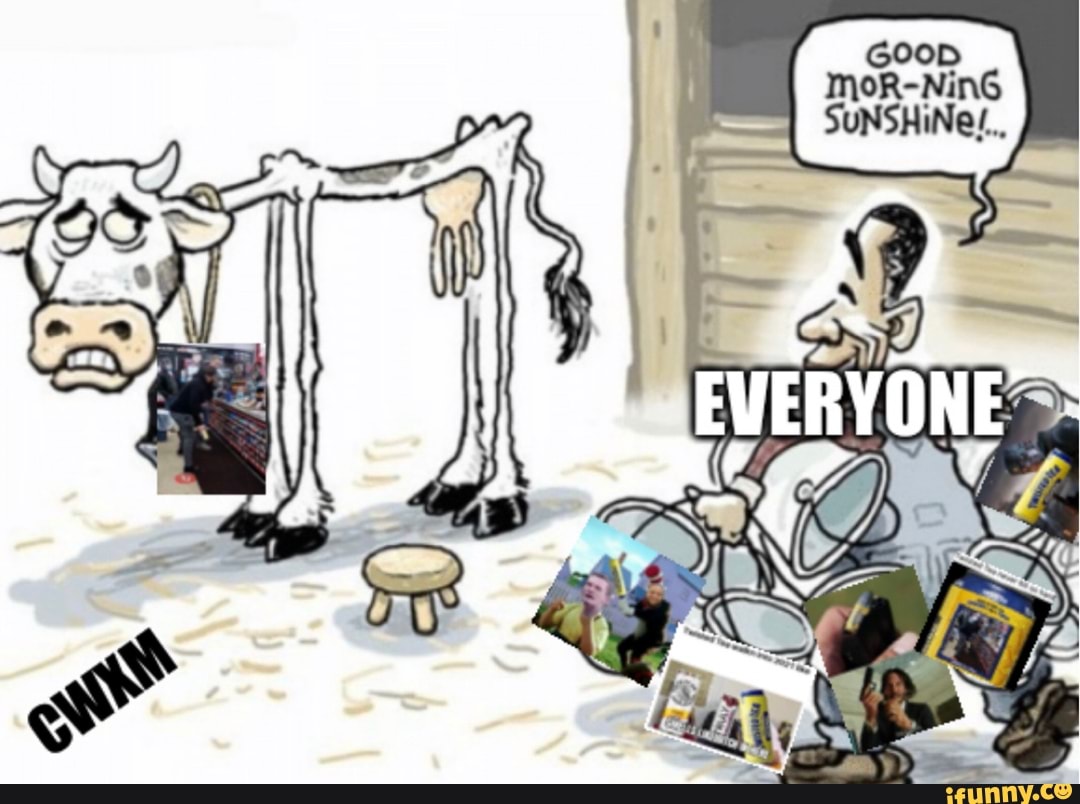 Good Morning Sunshine Meme