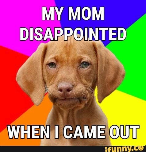 Dog Meme Disappointed