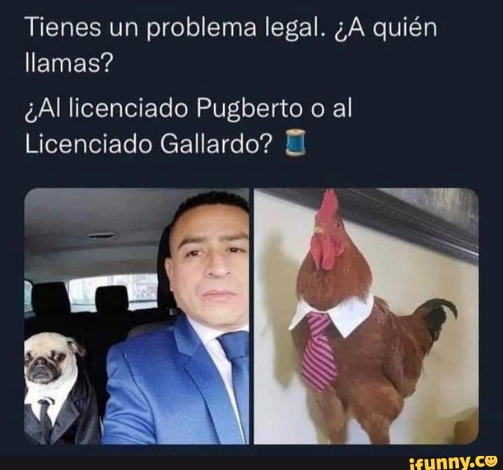 Tienes un problema legal. quién llamas? licenciado Pugberto o al ...