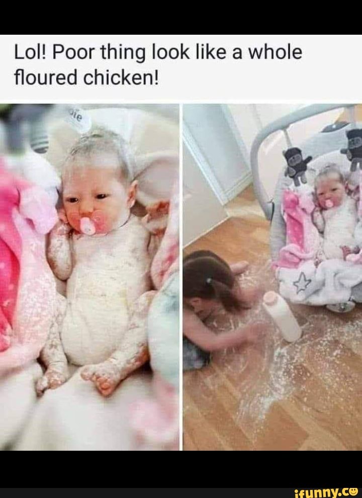 Lol! Poor thing look like a whole floured chicken! - iFunny Brazil