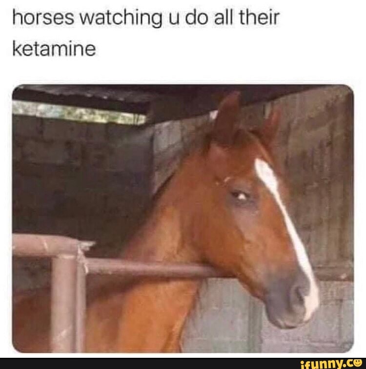 Ketamine Horse