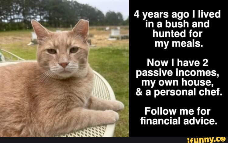 4 years ago I lived in a bush and hunted for my meals. Now I have 2 I ...