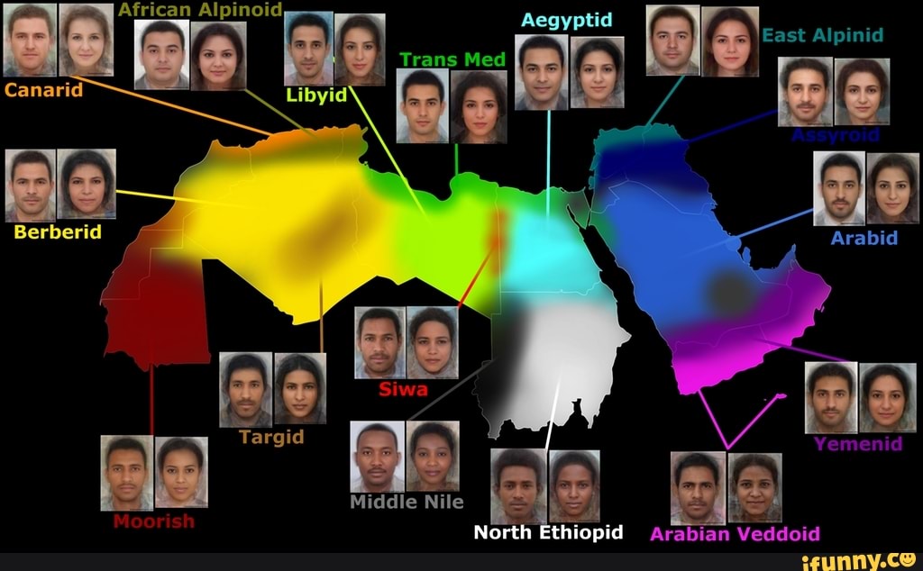East Alpinid Arabid African Middle Nile North Ethiopid Arabian Veddoid ...