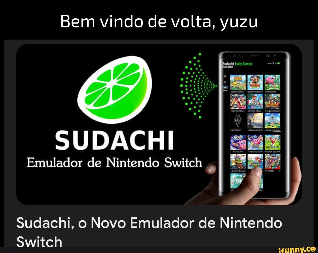 Bem vindo de volta, yuzu Emulador de Nintendo Switch Sudachi, o Novo ...