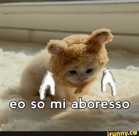 AA eo so mi aboresso - iFunny Brazil