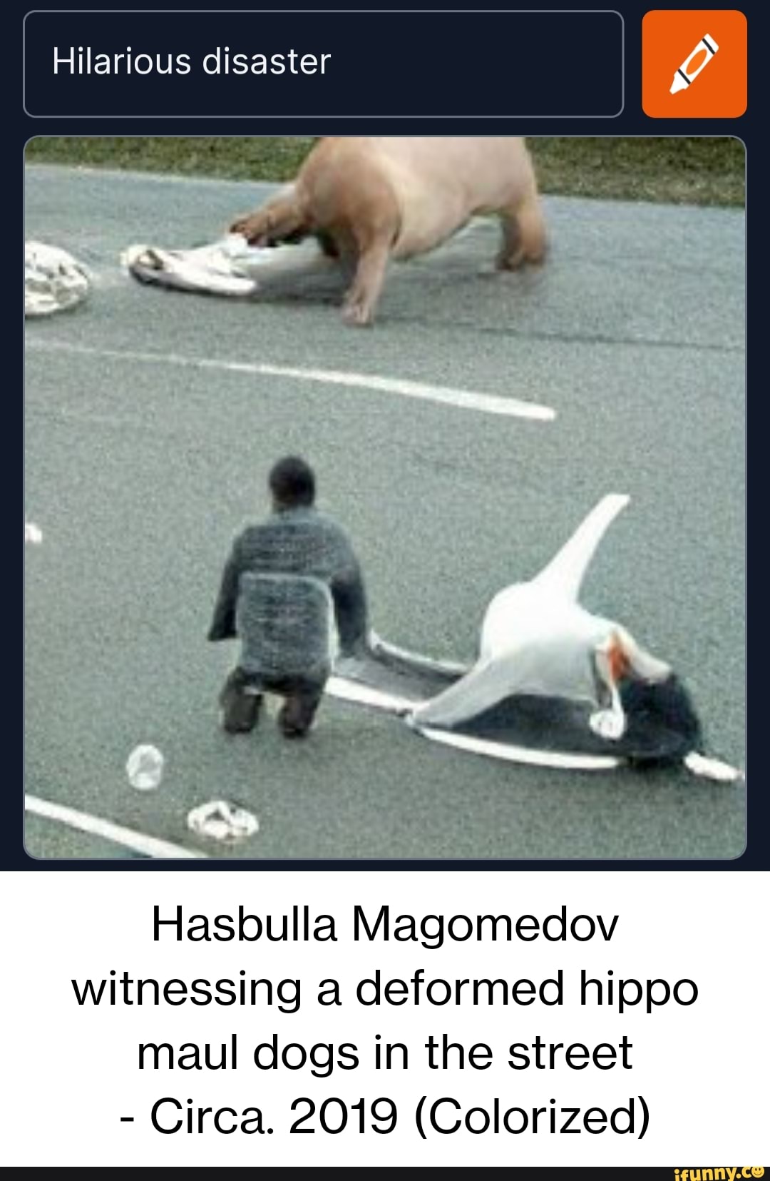 Hilarious disaster Hasbulla Magomedov witnessing a deformed hippo maul ...