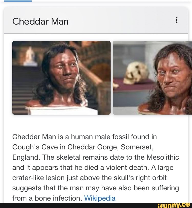 Cheddar Man Cheddar Man is a human male fossil found in Gough's Cave in ...