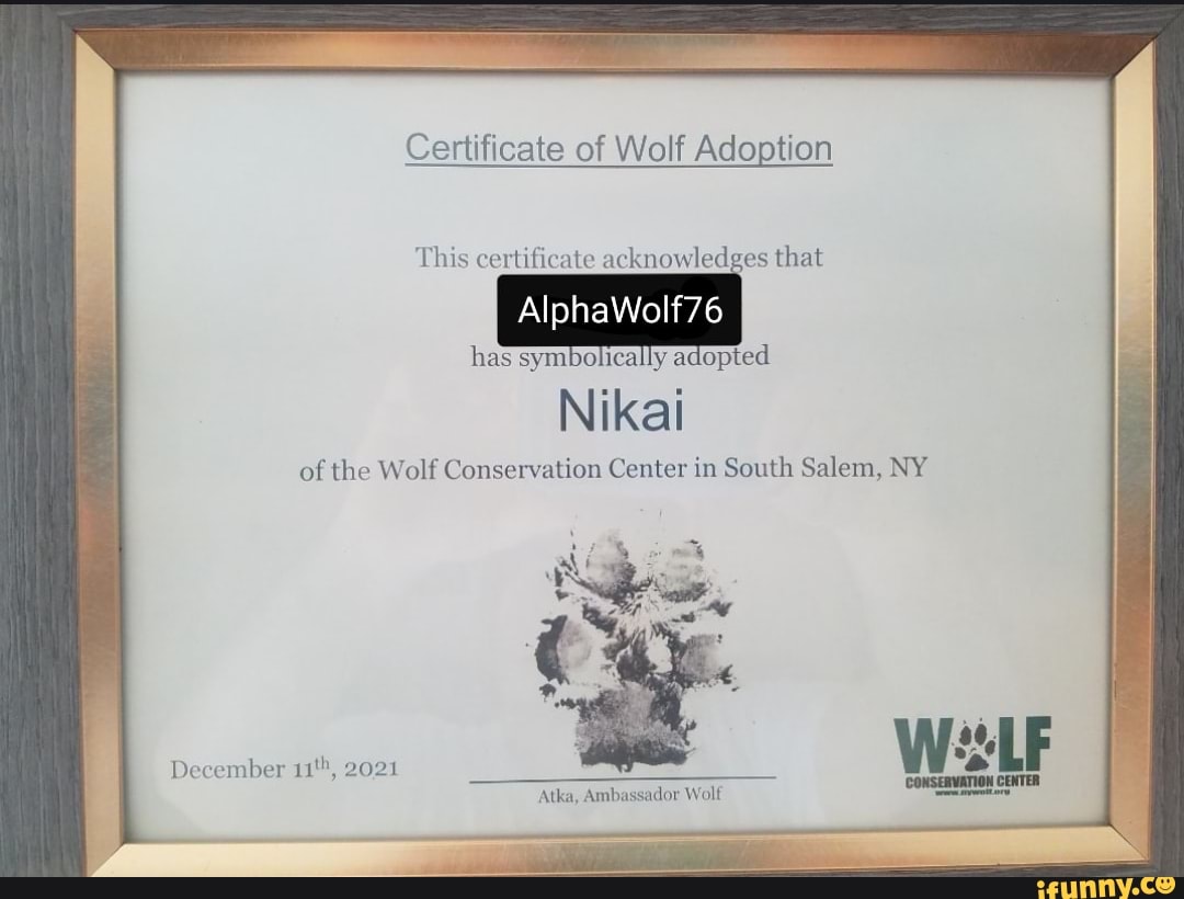 Certificate of Wolf Adoption This certificate acknowledges that ...