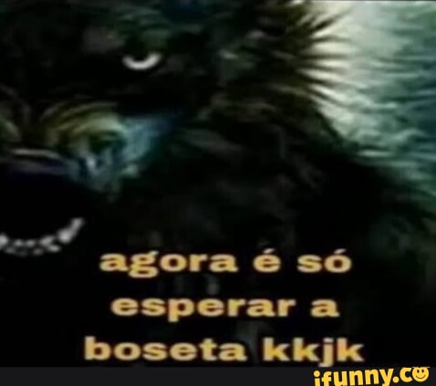 Ai agora é só esperar a boseta kkik - iFunny Brazil