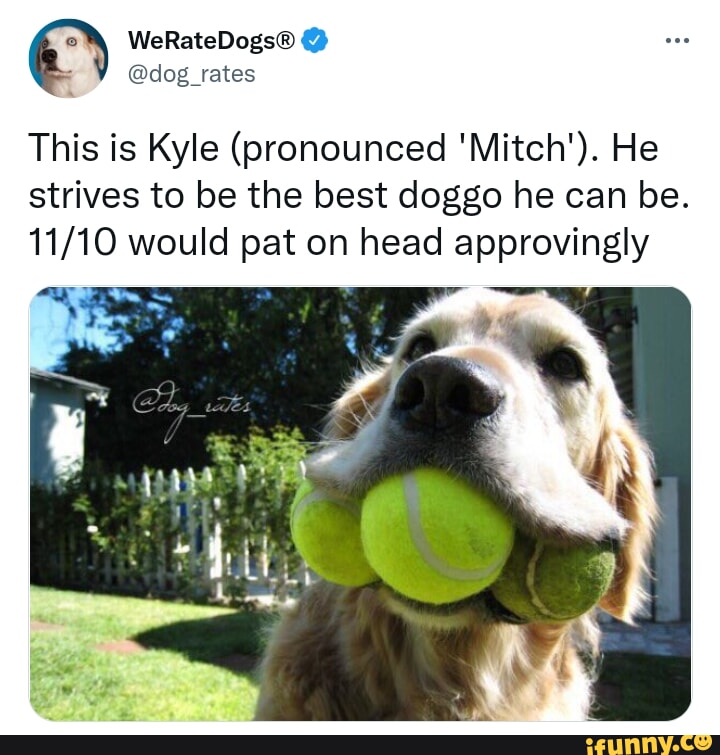 Rates This is Kyle (pronounced 'Mitch'). He strives to be the best ...